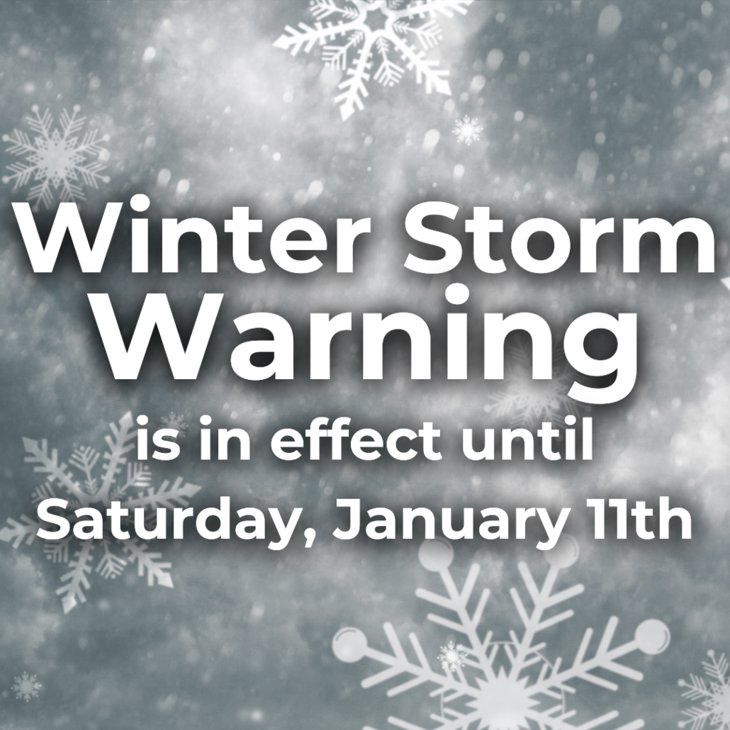 January Winter Storm – Abbeville County, South Carolina